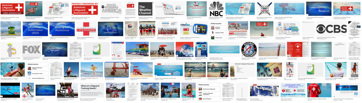 The Best Lifeguard Training Online | American Lifeguard USA ...